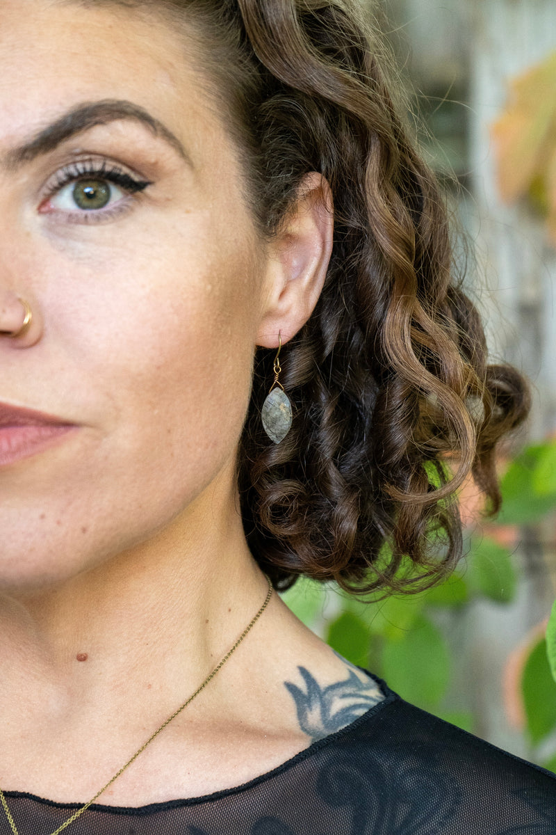 Diamondback – 2 ODD BIRDS